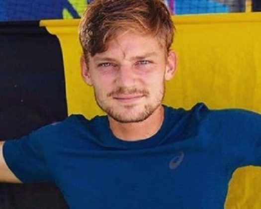 David Goffin Height, Weight, Age, Wife, Biography, Net worth & Family