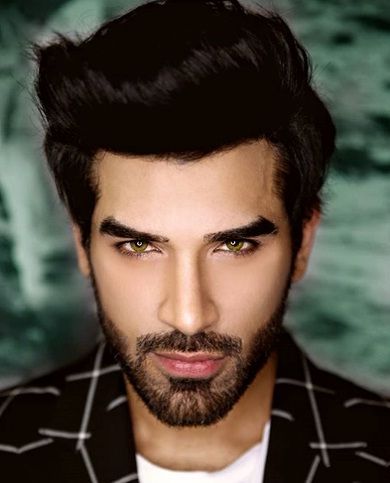 Paras Chhabra (Bigg Boss) Height, Weight, Age, Bio, Family, Facts