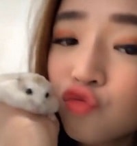 Cherylene Chan Age, Boyfriend, Height, Weight, Family, Biography & Facts