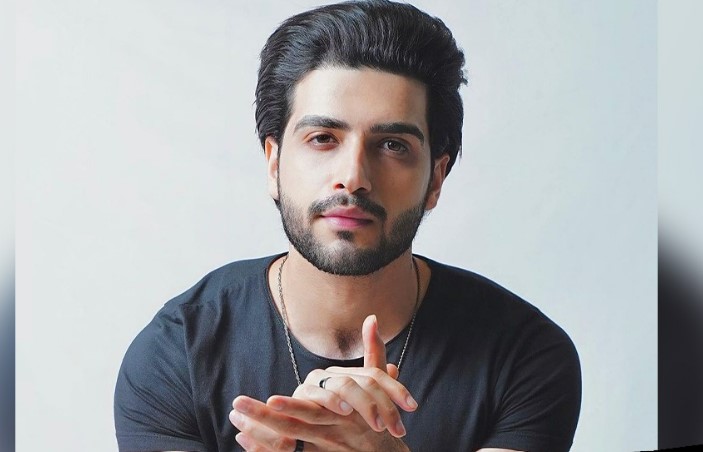 Who Is Aahna Sharma? Wiki, Age, Husband, Height, Parents, Biography ...